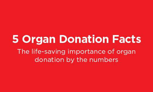 Organ Donation Facts – Children's Health