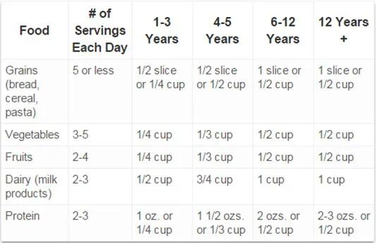 Food Portion Size Chart